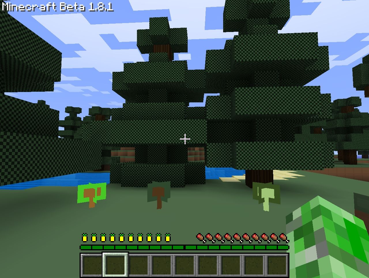 pineapple texture Minecraft Texture Pack